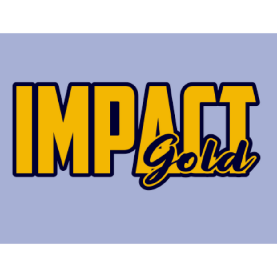 Accessories – IMPACT GOLD FASTPITCH STORE